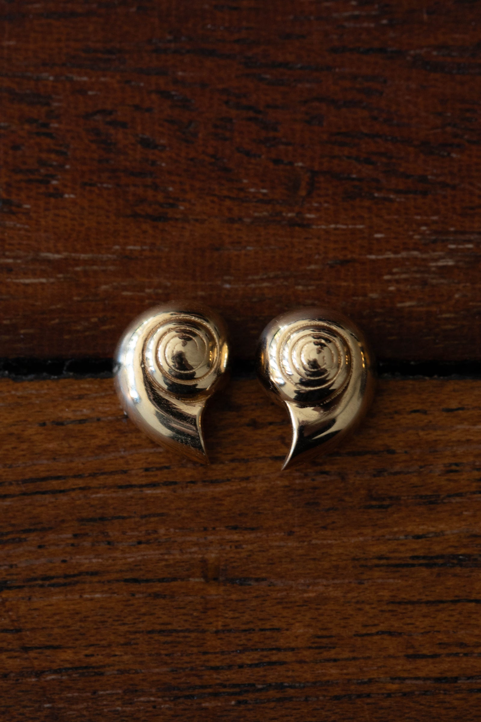 rennes — Kathryn Bentley | Nautilus Shell Earrings