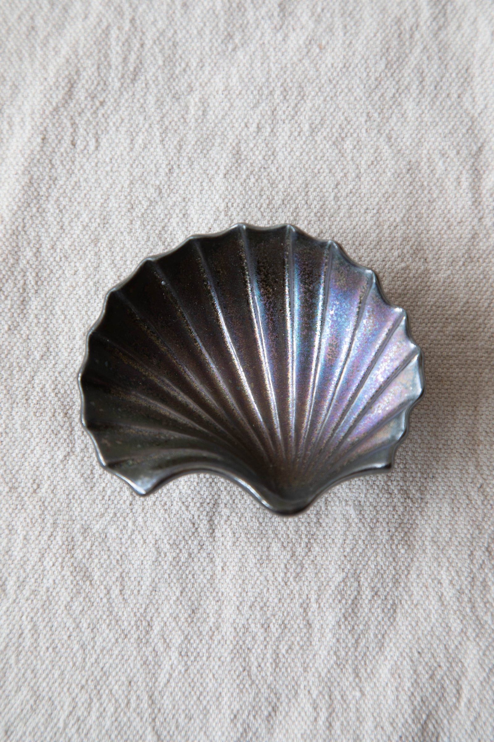 rennes — Shell Dish | Multiple Colors
