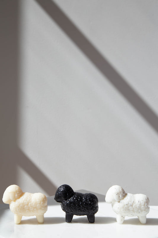 rennes — Sheep Milk Soap - Multiple Scents!